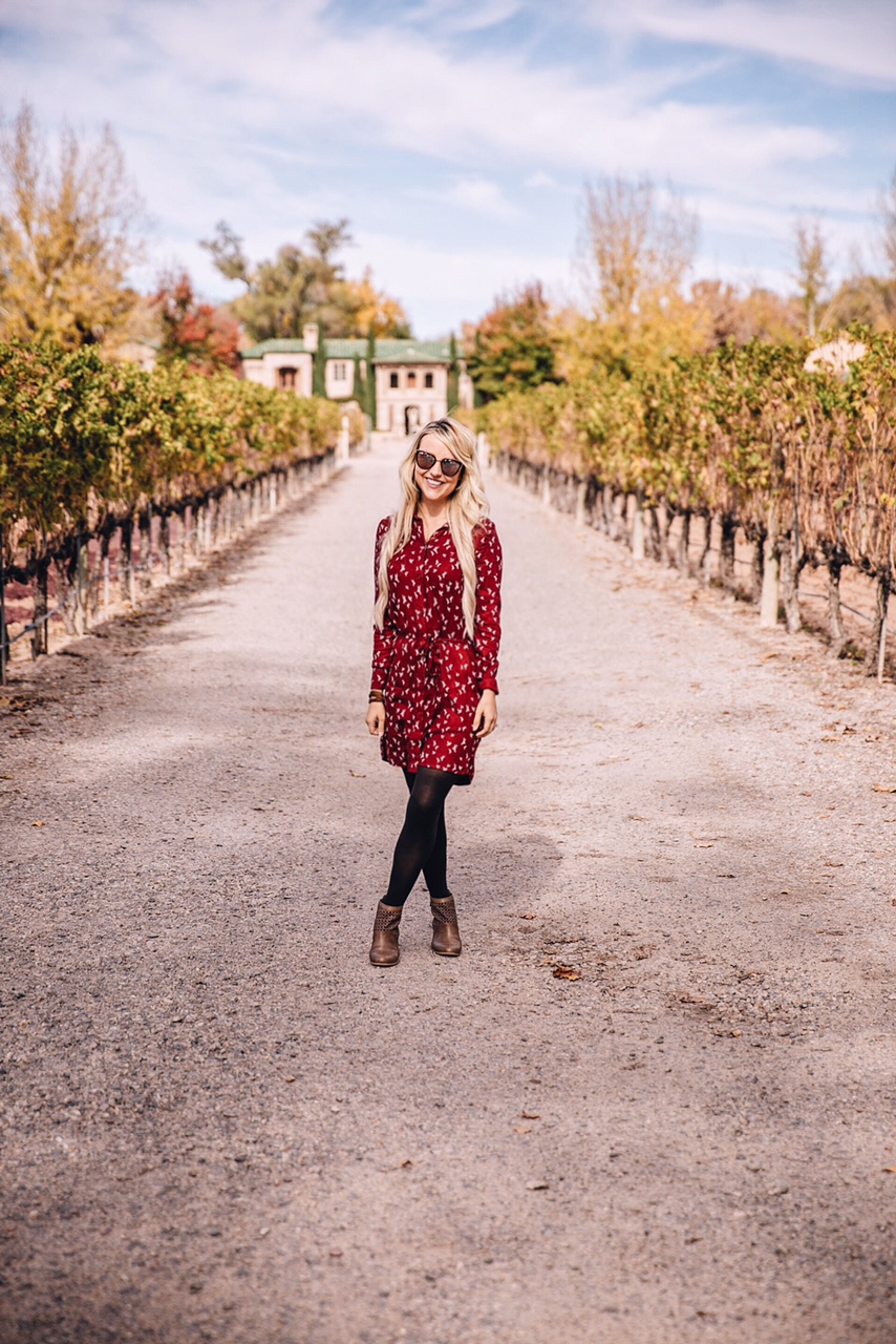 7 Of Our Favorite Wine-Colored Dresses this Fall - Sparrows + Lily